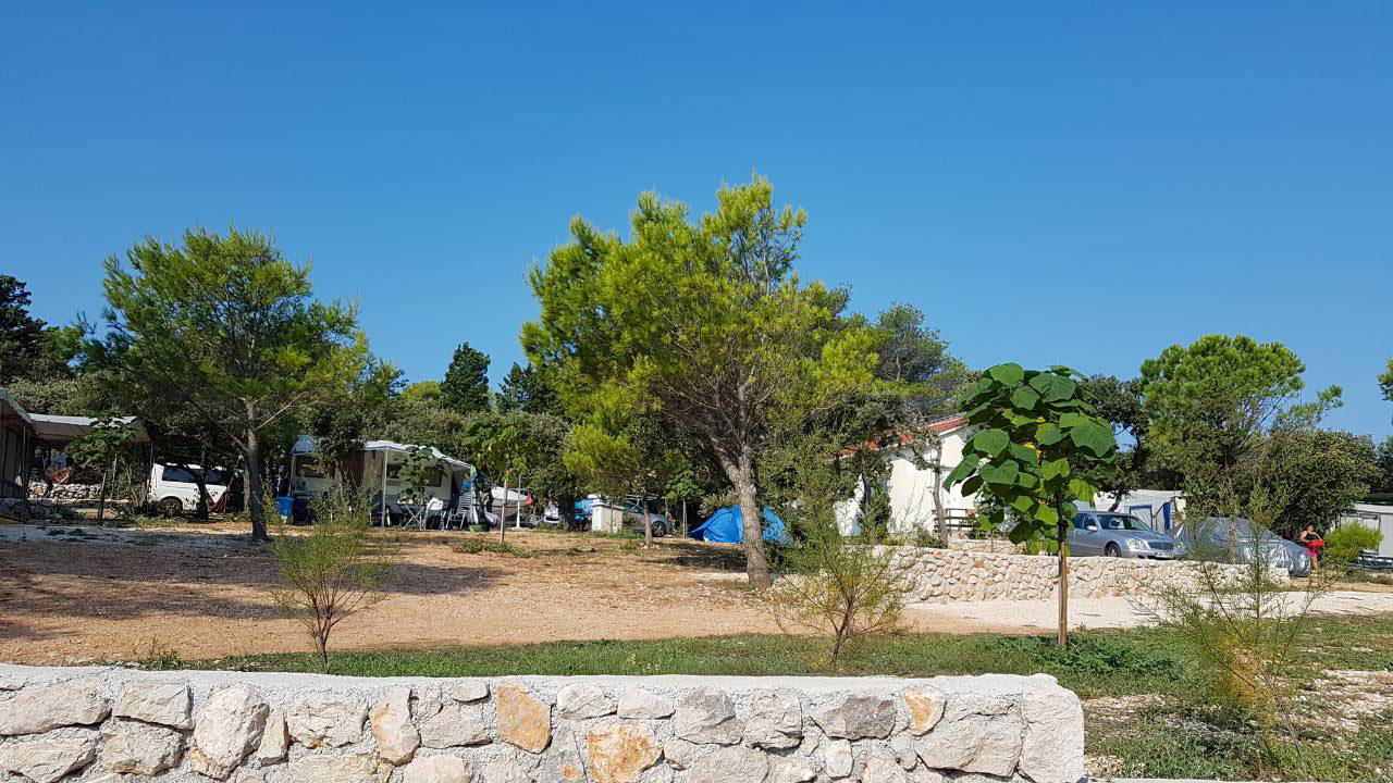 Camp Susica Insel Ugljan Kroatien - Camp Coto
